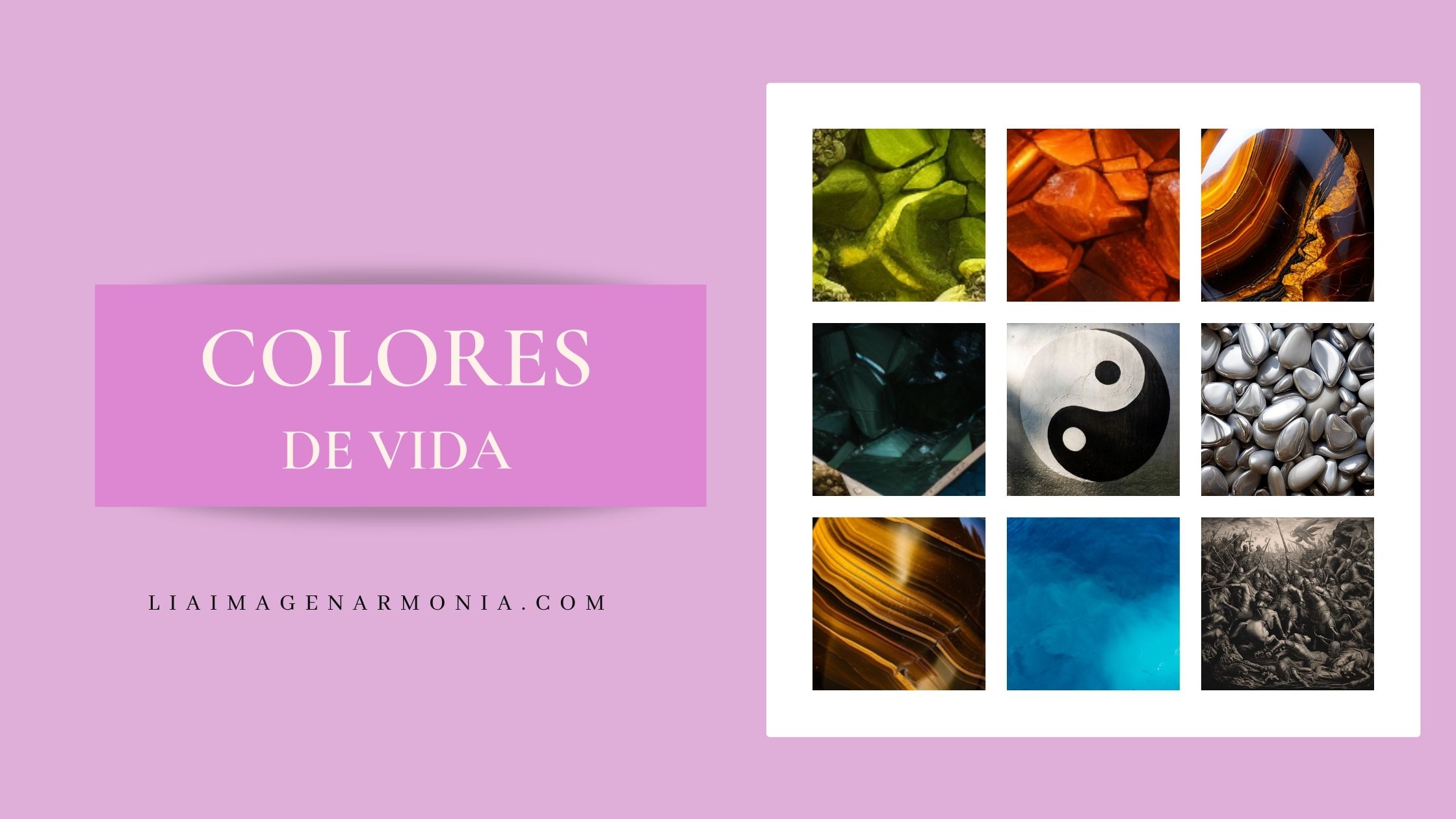 Colores de vida | Asesoría de imagen bogota | Lia Imagen Armonia