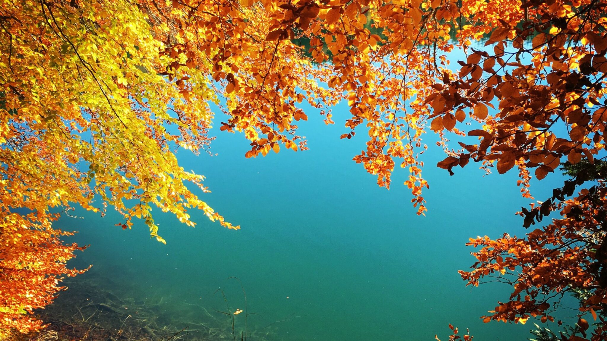 Paleta de colores de Octubre 2023 | Coaching de Imagen y Vida