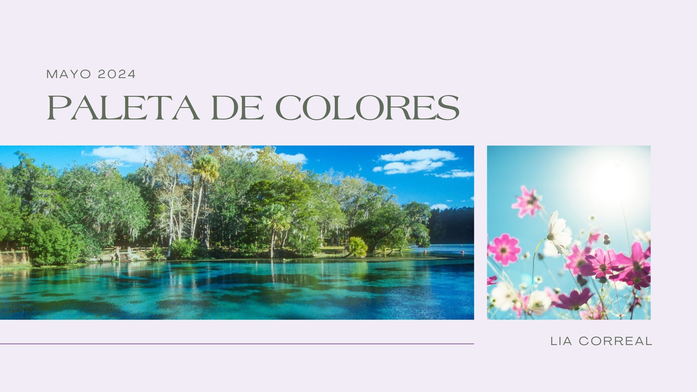 La Paleta de Mayo 2024: Crecimiento y alegría | Asesora Imagen